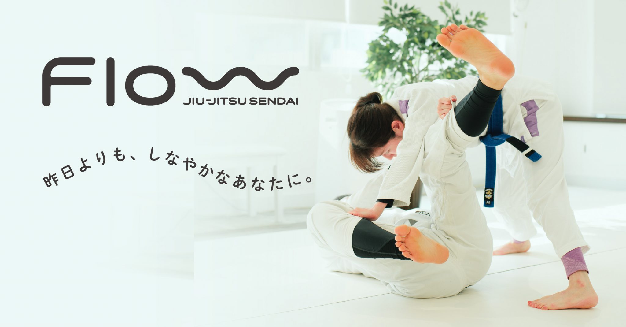 Flow Jiu-Jitsu Sendai